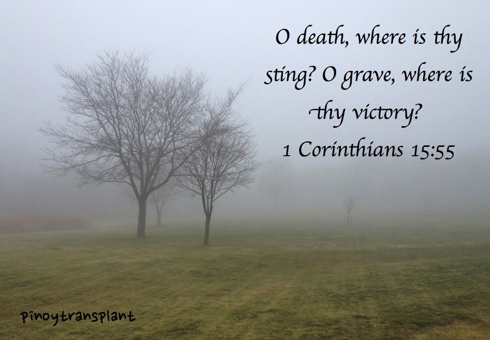 Invictus – Pinoy Transplant in Iowa